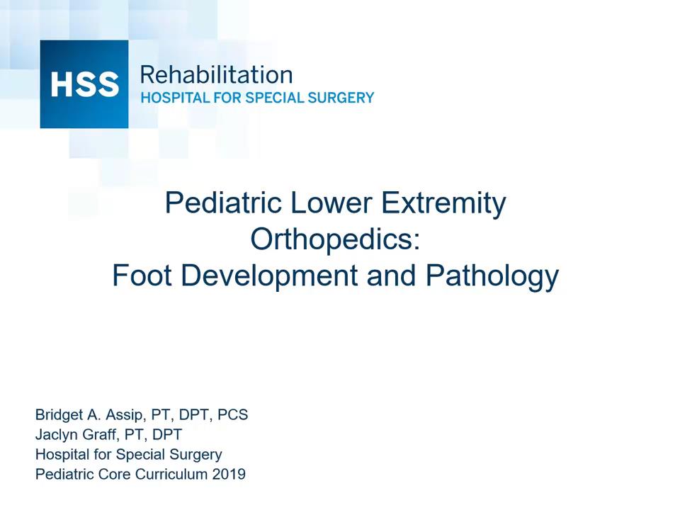 Pediatric Lower Extremity Orthopedics:Foot Development and Pathology